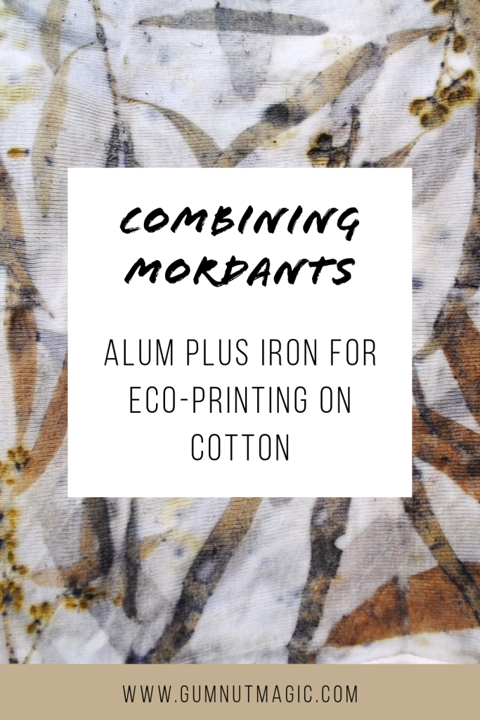 Combining iron and alum mordants for eco-printing – Gumnut Magic