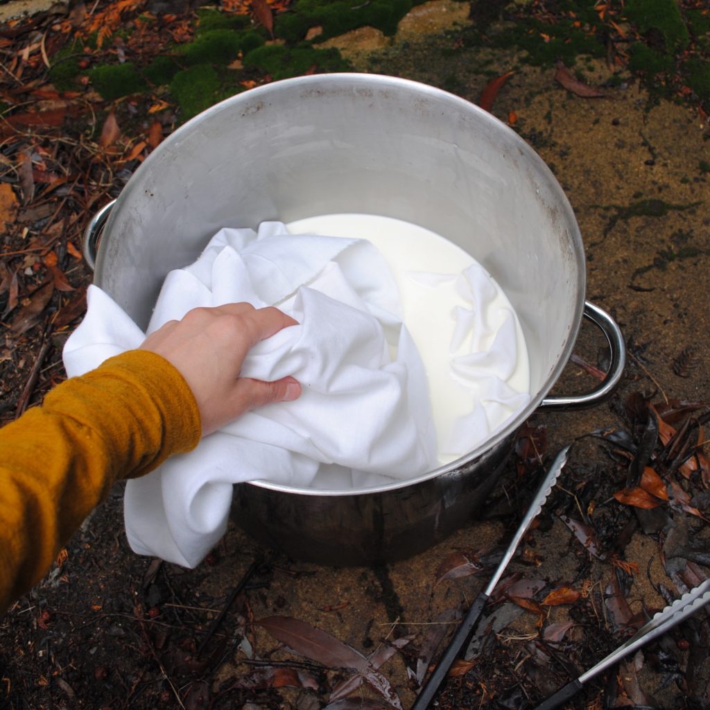 Preparing fabric with cow’s milk – Gumnut Magic