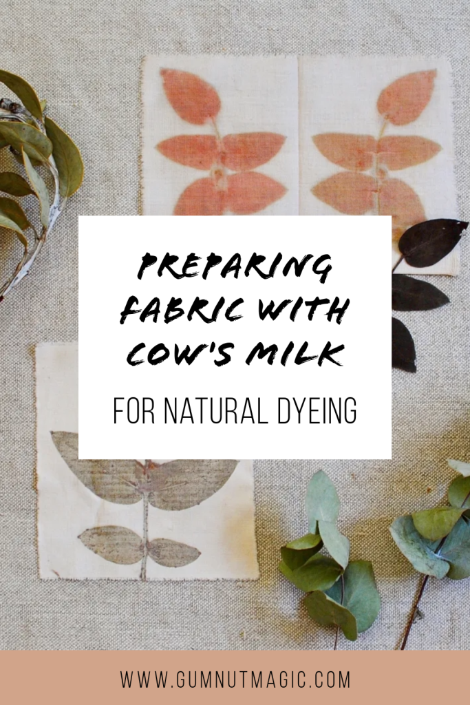 Preparing fabric with cow’s milk – Gumnut Magic