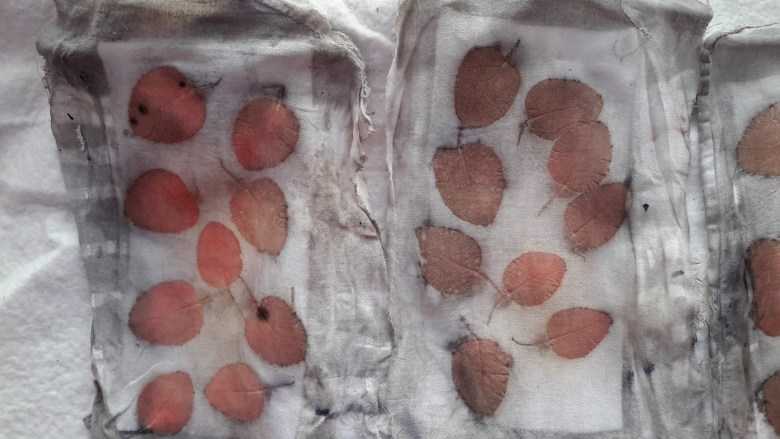 Eco-printing on Cotton with Soy Milk Binder – Gumnut Magic